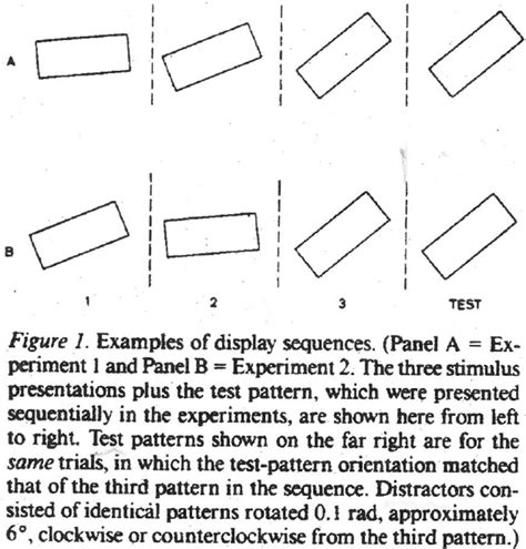 Representational Momentum Courtesy Jennifer Freyd Download