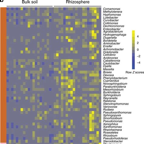 Characterization Of The Core Citrus Rhizosphere Microbes A Venn Plot