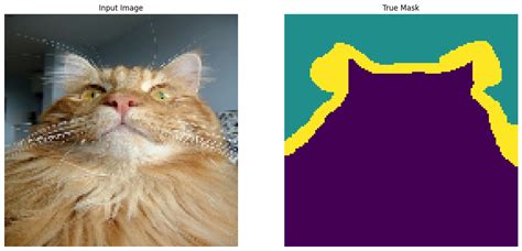 image segmentation tensorflow core