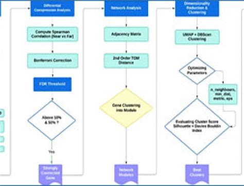 Scspace Reconstruction Of The Cell Pseudo Space From Single Cell Rna Sequencing Data Rna Seq