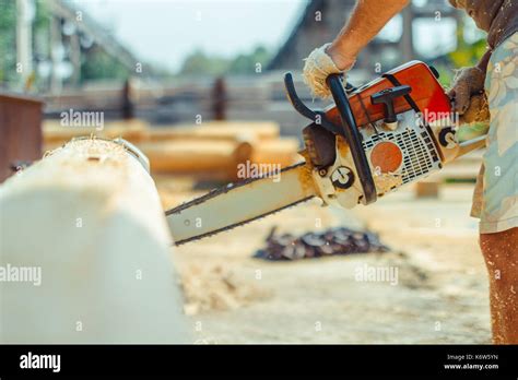 Man With A Chainsaw Cutting A Tree For Construction Stock Photo Alamy