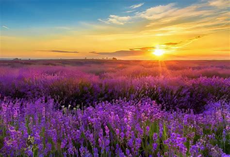 France Places To Visit Ilx Travel