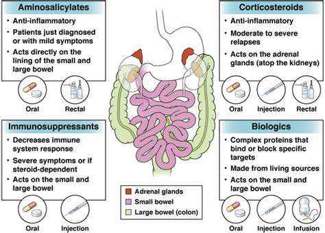 Inflammatory Bowel Disease Ibd Test At Bruce Moreno Blog