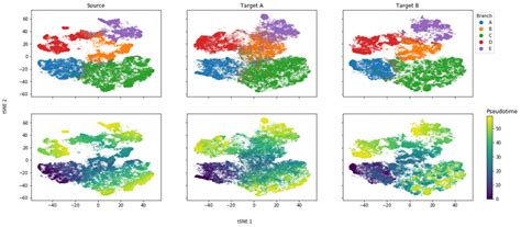 Integrated Latent Space Of Three Synthetic Datasets Three Single Cell Download Scientific
