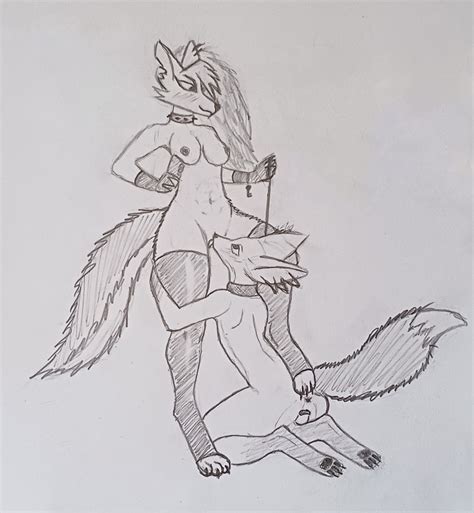 Rule 34 Anthro Anus Breasts Chastity Cage Collar Cunnilingus Female