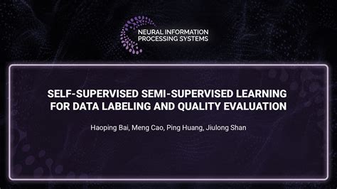 Self Supervised Semi Supervised Learning For Data Labeling And Quality Evaluation Data Centric
