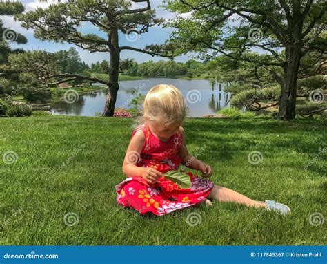 La Petite Fille S Asseyant Dans L Exploitation D Herbe Part Image Stock