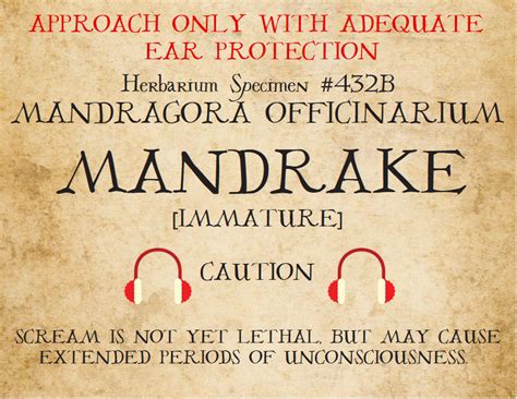 Mandrake Sign For Harry Potter Fans