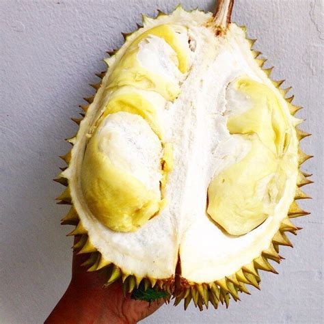 22 фрукта которых многие никогда не пробовали Travelask Дзен