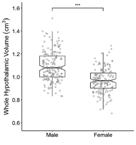 Sex Differences In Hypothalamic Volume Analysis Of Hypothalamic Volume Download Scientific