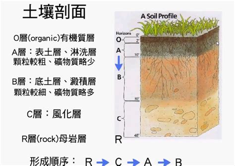 【农业地理】农业区位因素思维导图，梯田都有哪些类型？地理视角看土壤