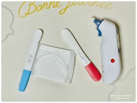 착상혈 생리차이 임신 극초기증상 피곤 잠 기초체온 열 아랫배 네이버 블로그