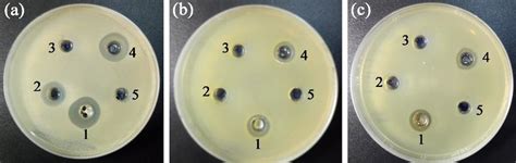 Antimicrobial Activity Determined Using Agar Well Diffusion Method Download Scientific Diagram
