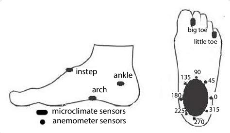 Positions Of Sensors Download Scientific Diagram
