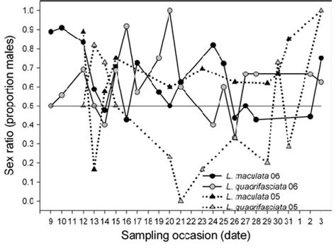 Dynamics Of Daily Sex Ratio For Leptura Maculata And L Quadrifasciata Download Scientific
