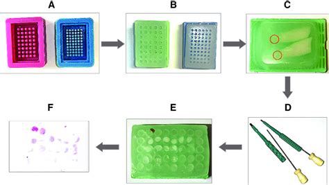 Cell Microarray Construction Tools A Cma Molds Used To Produce