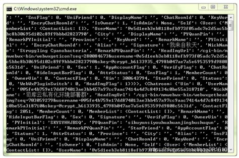 Python 技术篇 利用pickle库查看pkl文件实例演示pkl是什么类型的文件怎么来打开它 阿里云开发者社区