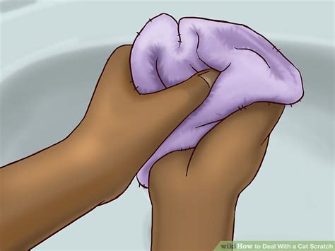5 Ways To Deal With A Cat Scratch WikiHow