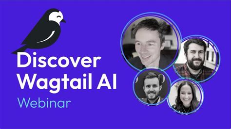 Naveera Ashraf On Linkedin Discover Wagtail Ai Practical Tools For Augmenting Content Management
