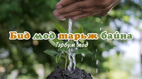 Бид мод тарьж байна Тэрбум мод Instrumental Youtube