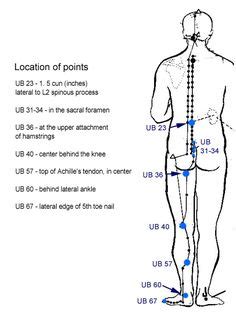 31 Acupuncture Micro Map Ideas Acupuncture Acupressure Massage Therapy