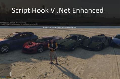 Community Script Hook V Net Gta5