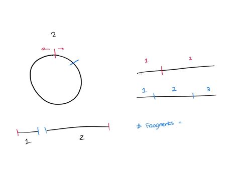Solved 1 Give A 6 Bp Palindrome That Could Function As A Restriction
