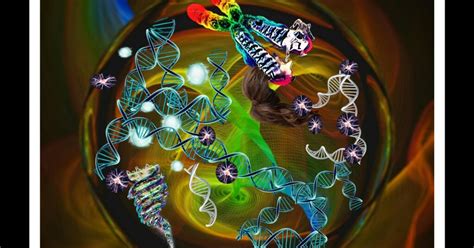 chapter 2 short answer questions