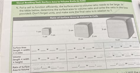 Solved Visual Reading Tool Surface Area To Volume Ratio In Cells 1 For A Cell To Function