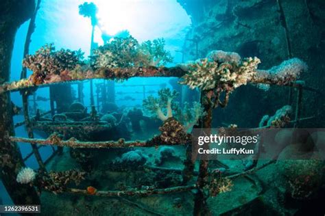 Shipwreck Reefs Photos And Premium High Res Pictures Getty Images