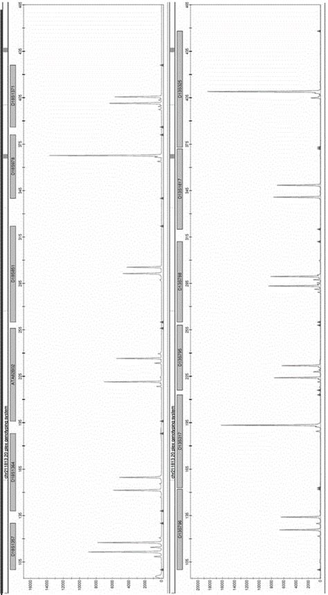 Gene Typing Detection Kit For Human 13 18 And 21 Chromosome 20 Str Locus Eureka Patsnap