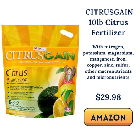 Best Citrus Tree Fertilizer What When And How To Use It All Roads Lead To Italy