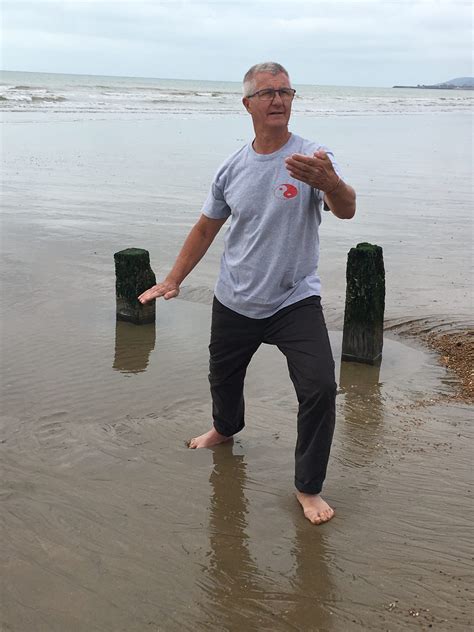 School Of Five Element Shiatsu And Taiji Qigong Taiji Qigong Shibashi