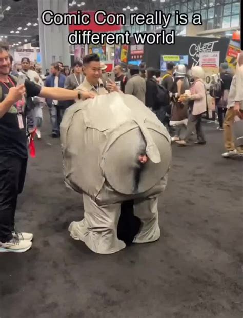 Bumblebee Tuna Album On Imgur