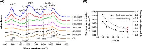 A Ftir Spectra Of Acellular Dermal Matrix Adm And Demineralized Download Scientific Diagram