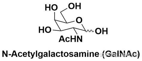 N 乙酰 D 半乳糖胺 Cas：1811 31 0 N Acetylgalactosamine Galnac 知乎
