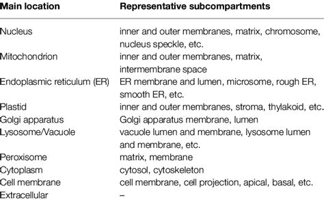 Representative Subcellular Locations Covered By Predictors For
