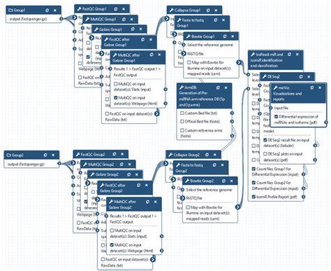 Mirgalaxy Workflow User Is Asked To Upload Fastq Files And Run The Download Scientific Diagram
