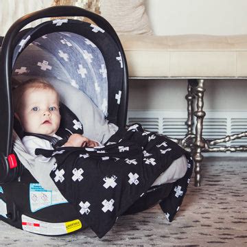 Shop All Carseat Canopy