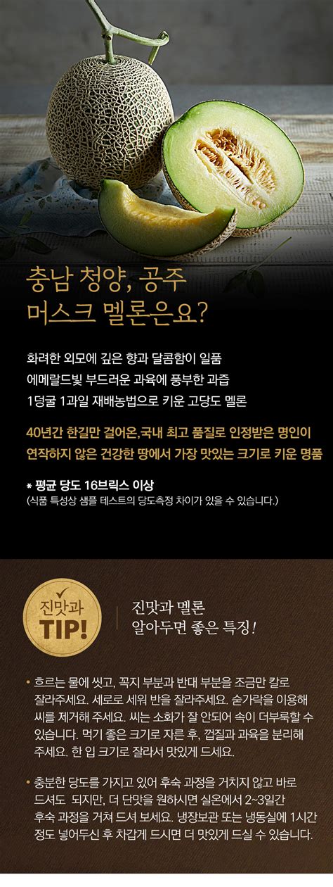 진맛과ㅣ 선물과일 진맛과 멜론 세트 1호