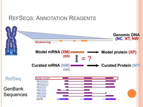 Introduction To Biological Databases Ppt