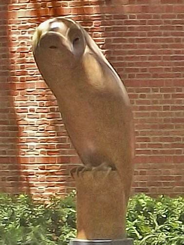 Sammy The Owl Rice University Houston Tx School Mascots On