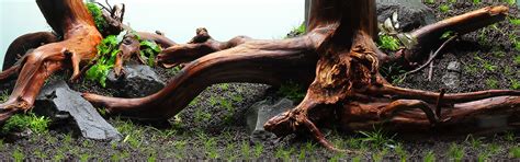 Buy Substrate At At Great Price Aquasabi Shop