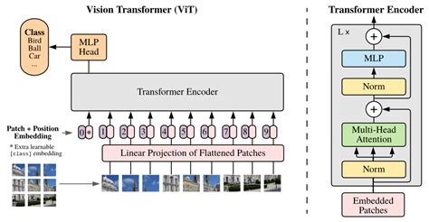 vitt in mast3r cxx notebook