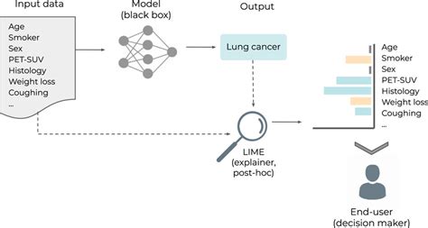 Inspired By Ribeiro Et Al 2016 Workflow Illustrating The Use Of Lime