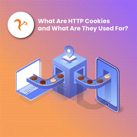 Cookie Definition And Ways To Stay Safe Netnut