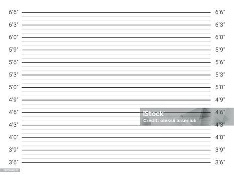 경찰 머그샷 배경 사람의 높이 측정 스케일 0명에 대한 스톡 벡터 아트 및 기타 이미지 0명 Police Line Up 공란 Istock