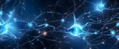 Encephalogram Bilder Durchsuchen 18176 Archivfotos Vektorgrafiken