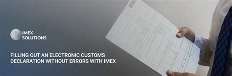 Customs Declaration In Electronic Format A Quick Solution With Imex