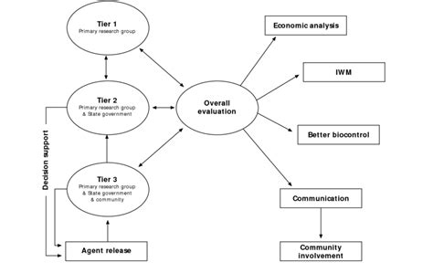 Schematic Representation Of Evaluation Process And Outcomes Download